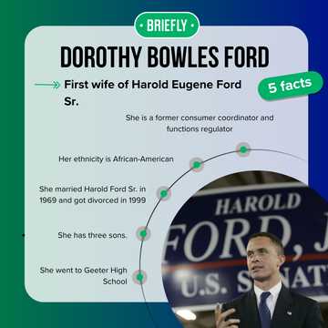 Meet Dorothy Bowles Ford: Everything about Harold Ford Jr's mother ...