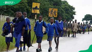 How many languages are spoken in Zimbabwe? Zim's rich linguistic ...