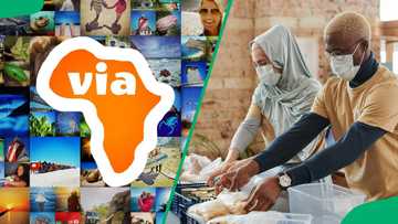 Top 20 volunteer organizations in South Africa in 2024: detailed list ...