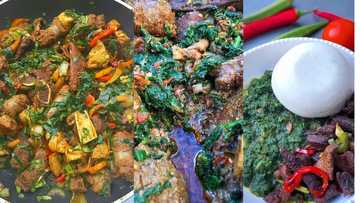 20 must-try Zimbabwe traditional food recipes (with images) - Briefly.co.za