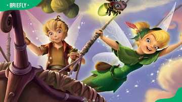Tinker Bell movies in order: a quick and easy guide for fairy fans ...