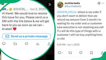 How to reach SHEIN customer service in South Africa fast - Briefly.co.za