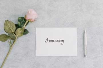 100+ genuine apology messages for him and her: Sorry messages - Briefly ...