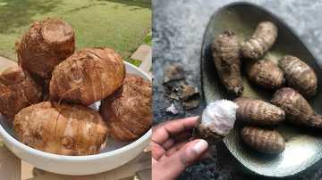 Top 17 best Zulu traditional foods: meals and drinks with pictures ...