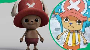 Chopper live-action: how will Netflix animate him in OPLA season 2 ...