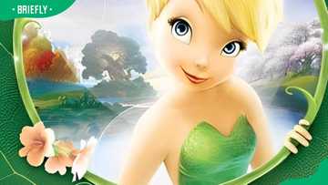 Tinker Bell movies in order: a quick and easy guide for fairy fans ...