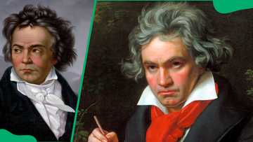 Was Beethoven black? The facts behind the composer's heritage - Briefly ...