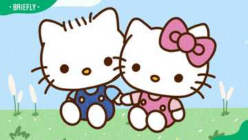 All Sanrio characters explained: from Hello Kitty to lesser-known ...