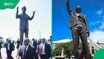 “Looks Like Mugabe”: South Africans Blast R22m Mandela and Tambo ...