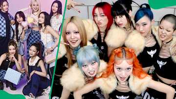 XG members guide: Ages, names, height, nationality, positions, and more ...