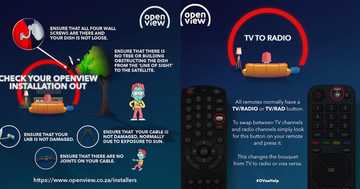 OpenView's contact number, contact address, troubleshooting procedures ...