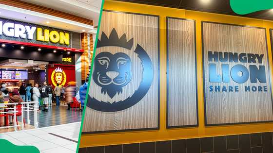 Hungry Lion menu and prices in South Africa (updated for 2025 ...
