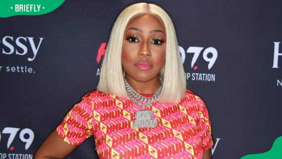 Yung Miami's age, children, baby daddy, career, profile, net worth ...