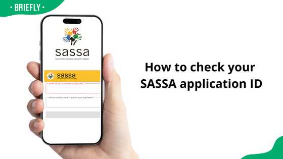 How to check your SASSA application ID: A quick guide - Briefly.co.za