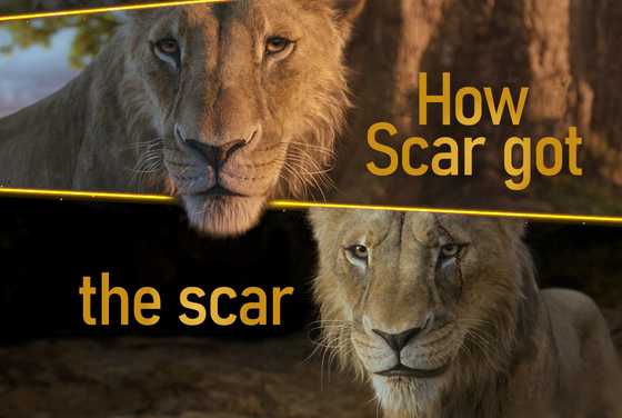 How did Scar get his scar in The Lion King? 2 origin stories compared ...
