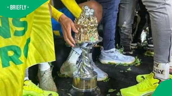 Mamelodi Sundowns Defend New Betway Premiership Trophy as Fans Slam ...