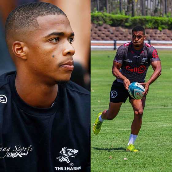 Grant Williams (Spingboks player): Age, family, position, stats, salary ...