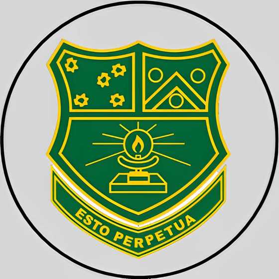 15 leading high schools in Gauteng: What is the biggest school ...