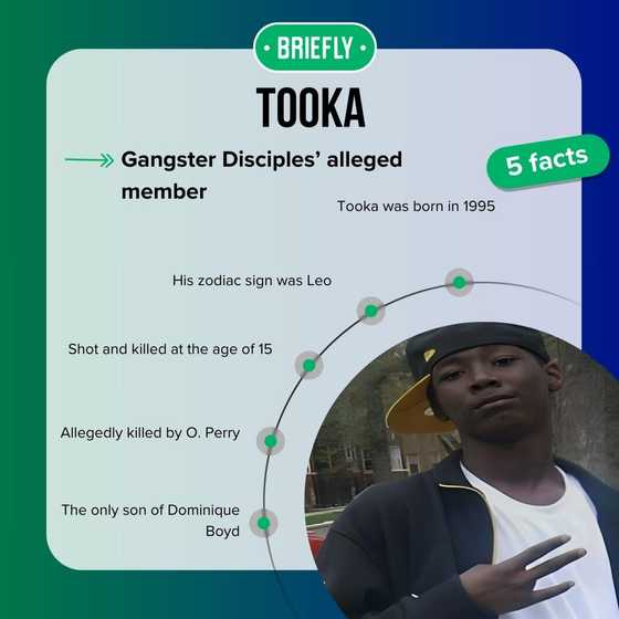 The tragic story of Tooka: Who he was and how he died - Briefly.co.za