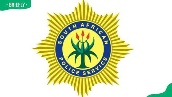 Metro Police application forms 2024: All you need to apply - Briefly.co.za