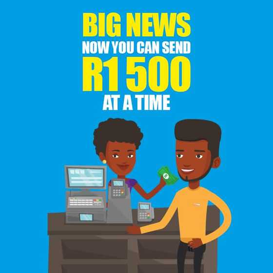 How to apply and use PEP money transfer - Briefly.co.za