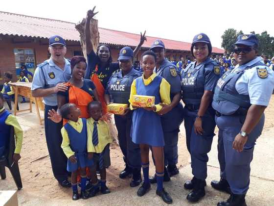 Firearm licence: how to apply, renew and get one in 2024 - Briefly.co.za