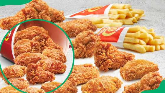 Hungry Lion menu and prices in South Africa (updated for 2025 ...