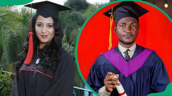 TUT courses available for 2024-2025: complete list with faculties ...