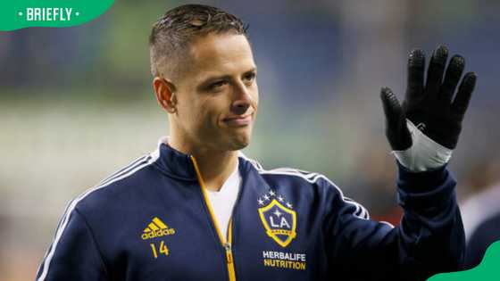 Where is Chicharito? Age, team, and stats of Mexico's top goal scorer ...