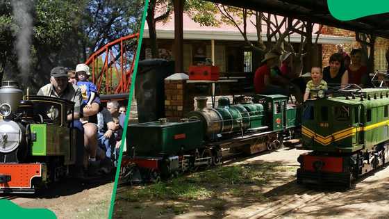 Best things to do in Centurion: Parks, markets & hidden gems - Briefly ...