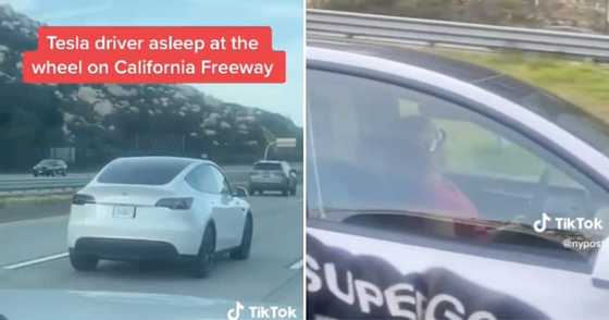 TikTok Video of Sleeping California Woman in Self-Driving Tesla Goes ...