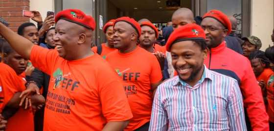 10 best EFF songs ever - Briefly.co.za