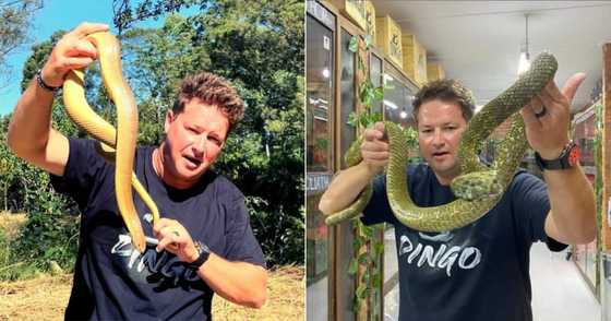 “No Ways”: SA YouTuber Dingo Dinkelman Spends 5 Nights with 16 Snakes ...