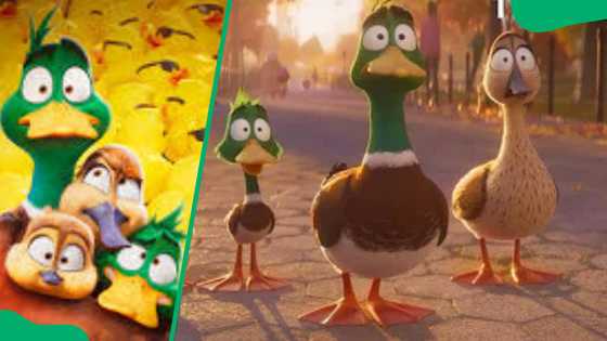 Meet the cast of Migration movie, including Elizabeth Banks as Pam ...