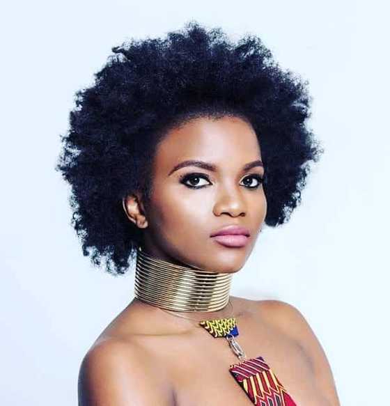 Ami Faku bio: Age, family, songs, albums, and profile - Briefly.co.za