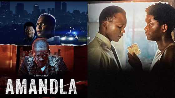 Top 20 best South African movies ever made: Have you watched them all ...
