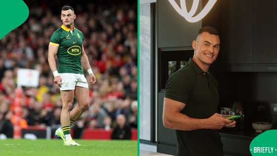 "Interesting": Jesse Kriel Leaves SA Impressed As He Flexes Impressive ...