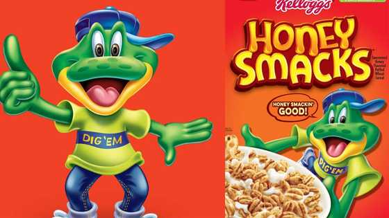 15 top breakfast cereal mascots ranked and their influence - Briefly.co.za