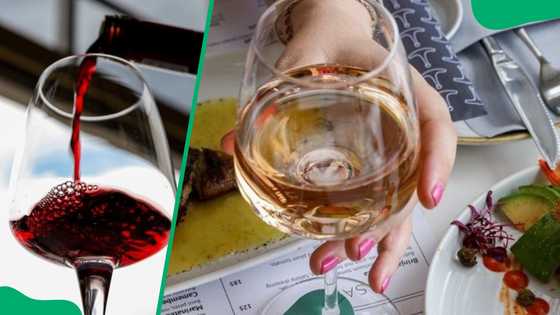 Ukkō Restaurant menu and latest prices for 2025: a quick guide ...