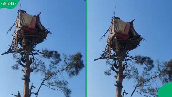 “1000 Ways To Die”: SA in Disbelief Over Man Living in Shack Built on ...