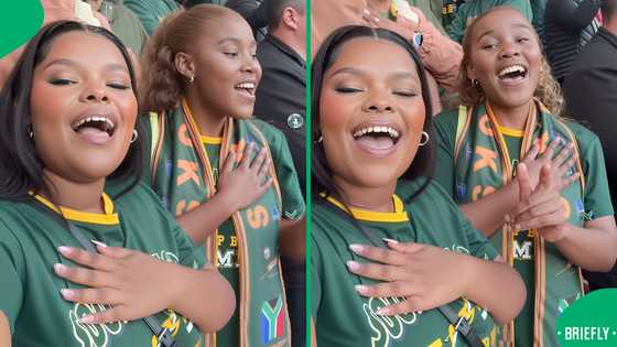 “So Oulik”: SA Proud As Springbok Fans Admit Practising Afrikaans Part ...