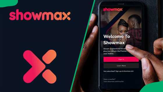 Showmax packages, prices & plans in South Africa: An easy guide (2025 ...
