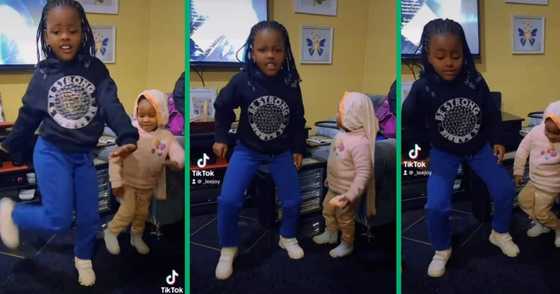 Adorable TikTok Video Shows Little Sister Mimicking Big Sister's Dance ...