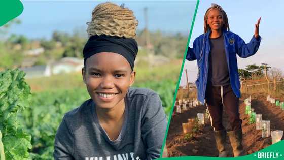 “This Is Magic”: Young Farmer Saves Chilli Farm Using Recycled ...