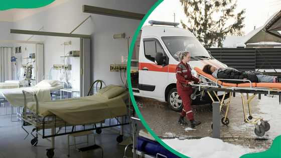 GEMS medical aid scheme: Get a detailed overview for 2024 - Briefly.co.za