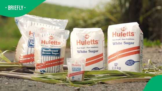 Opposing Parties Gear Up as Court Sets Key Dates for Tongaat Hulett ...