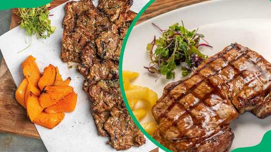 Parrots menu and prices in South Africa (updated for 2025) - Briefly.co.za