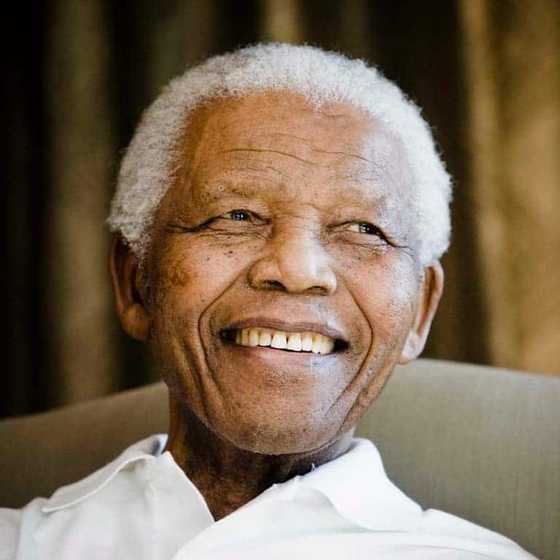 Know your history: List of all Presidents of South Africa - Briefly.co.za
