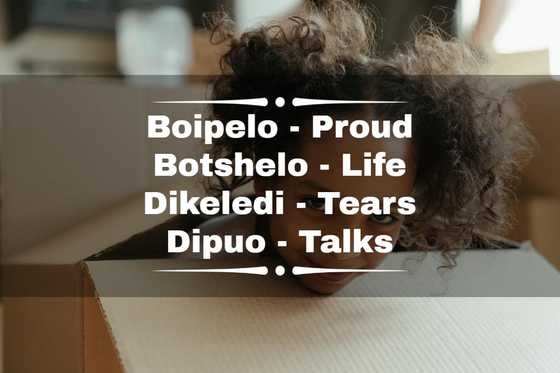 160+ beautiful Tswana names for boys and girls to choose from - Briefly ...