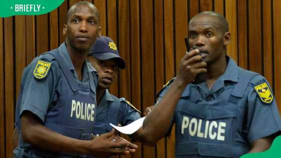 SAPS firearm status check: Everything you need to know - Briefly.co.za